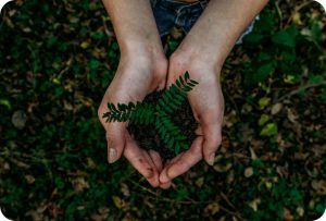 Sustainable Supplier Management | The Essential Guide